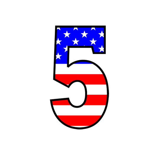 Hard Hat / Helmet Labels Number 5 - White Reflective - US Made