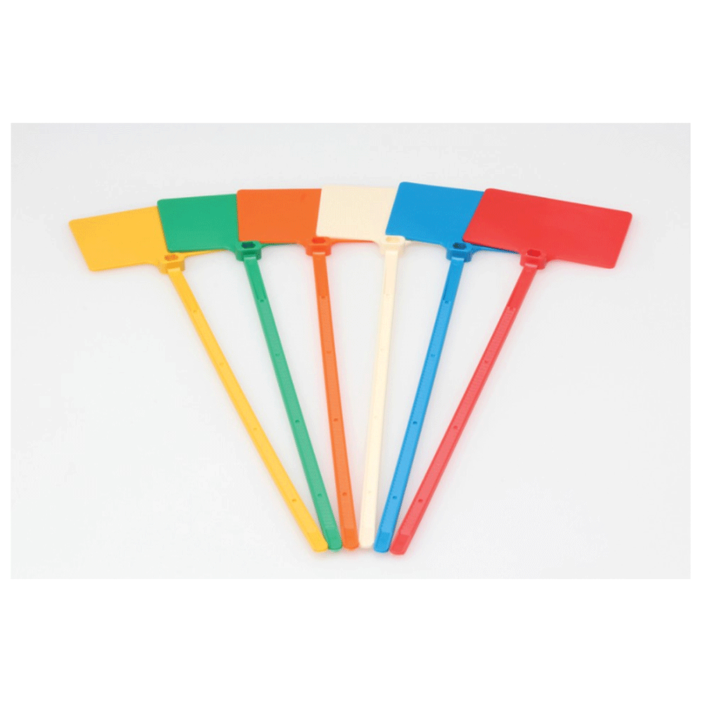 Plastic Security Tag - 6 Colors - CS772530